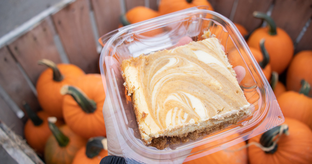 Best Pumpkin Patches In New Hampshire