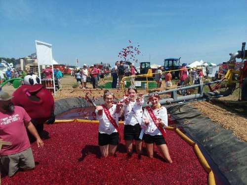 Here Are 5 Of The Best Fall Festivals In Wisconsin