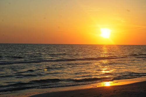 The 16 Best Things to Do in Florida in Winter