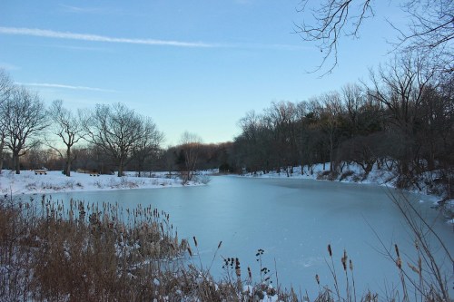 The 17 Best Things To Do In New Jersey In Winter