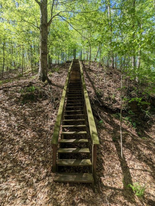 Grenada, Mississippi: Things to Do in the Fall