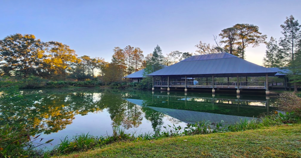 Hidden Gems In Louisiana: Hilltop Arboretum In Baton Rouge