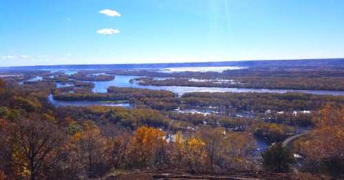 Forests | Only In Minnesota