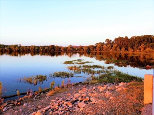 Little-Known Scenic Spot In Arkansas: Bona Dea Trails & Sanctuary