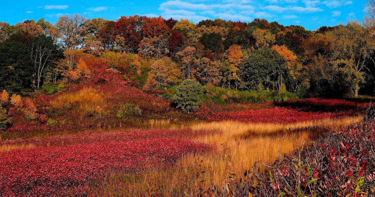 This Fall Foliage Hike In Minnesota Leads To Amazing Colors