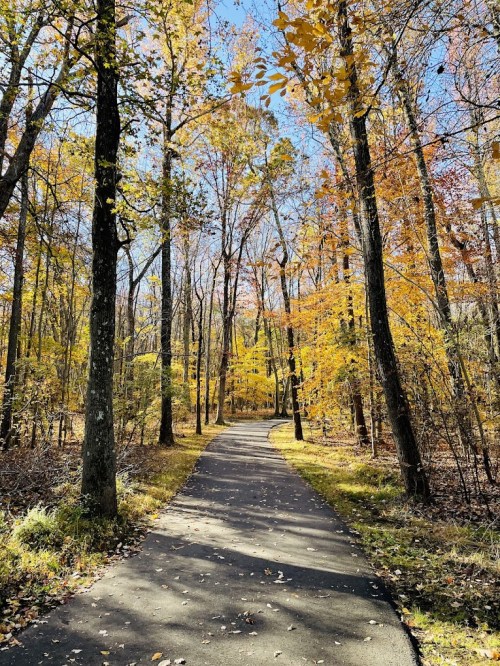 Mercer County Park: Best Fall Foliage Park In NJ