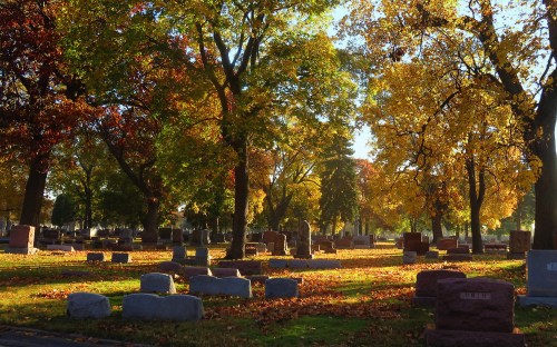 Best Times and Places to See Fall Foliage in Illinois