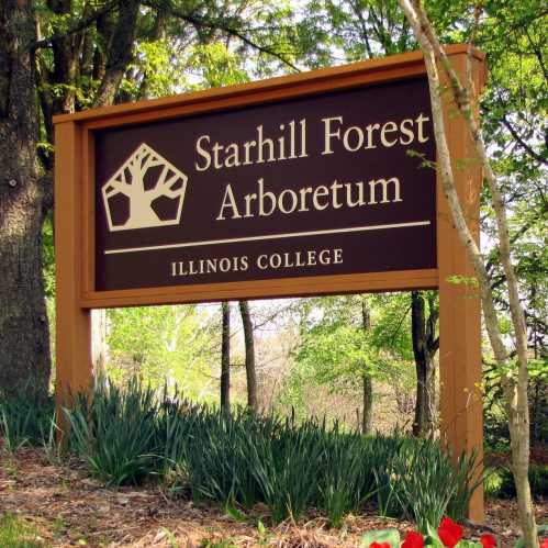 Starhill Forest Arboretum: Hidden Gem Arboretum In Petersburg, IL