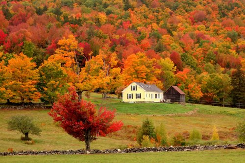 Best Times to See Fall Foliage in Vermont 2024