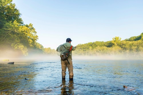 Best Things To Do In Heber Springs AR:Attractions & Hidden Gems