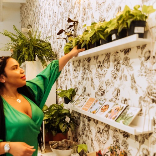 Grow Your Green At The Botanical Bar In Indianapolis, Indiana