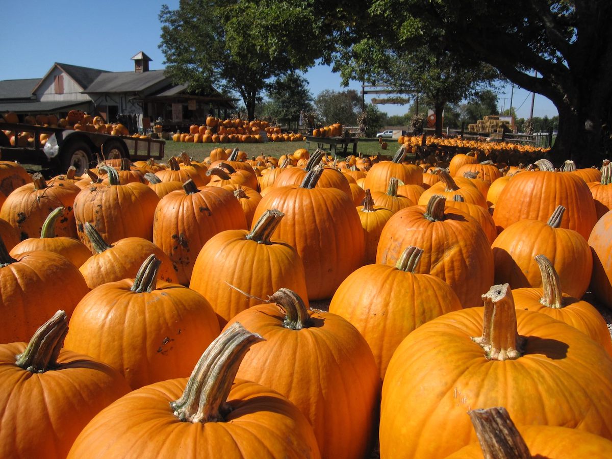 The Best Fall Events In Ohio For 2023