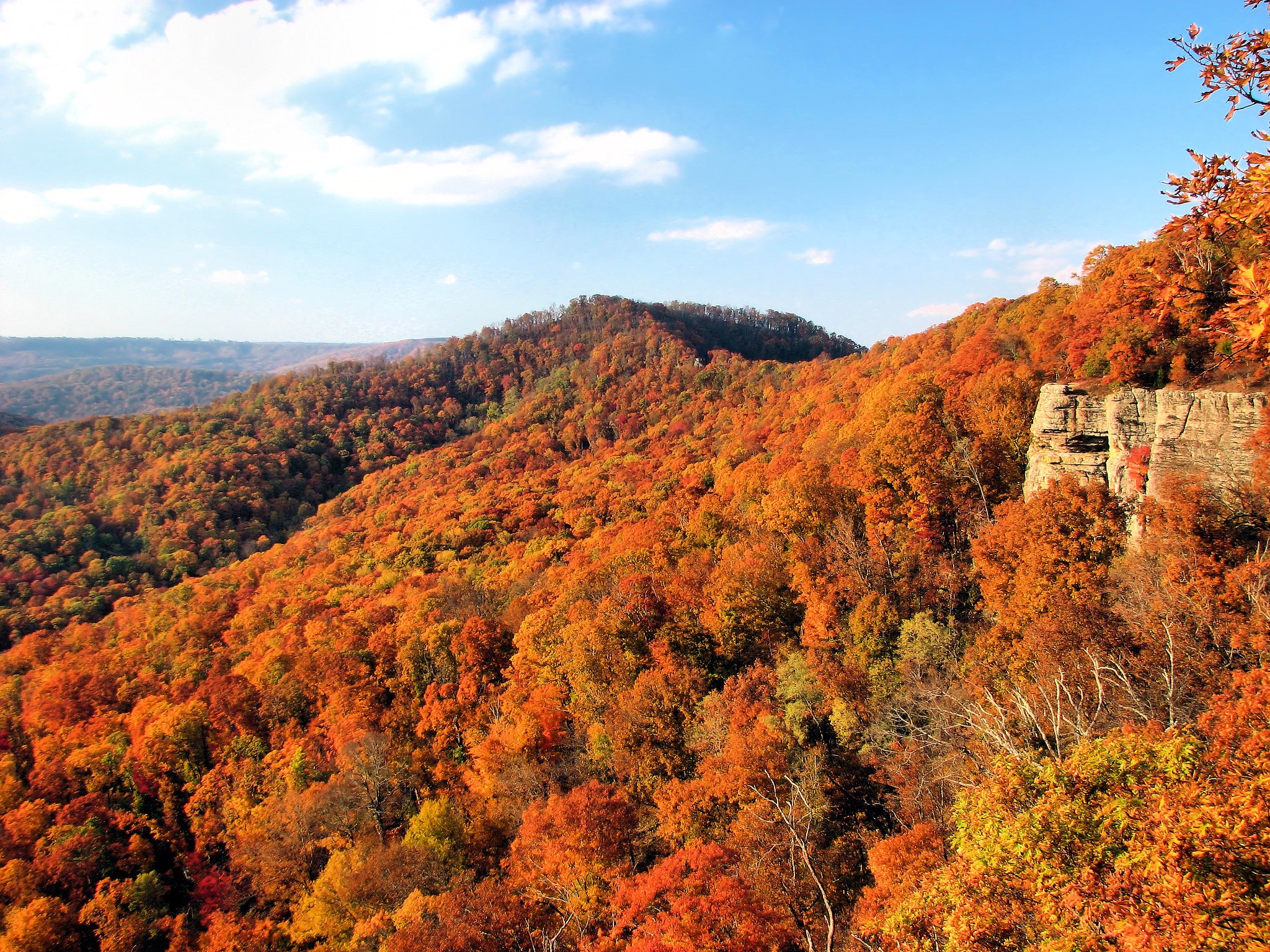 Fall Colors To See In Arkansas Fall Foliage In NWA Smith