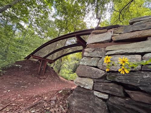 Knoxville's Urban Wilderness: An Unexpected Oasis In Tennessee