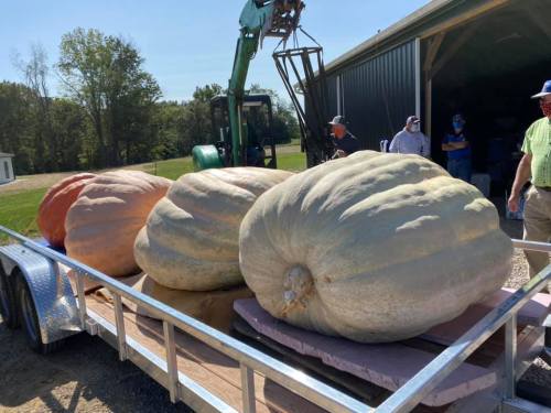 You'll Love Our List Of The Best Fall Festivals In Kentucky