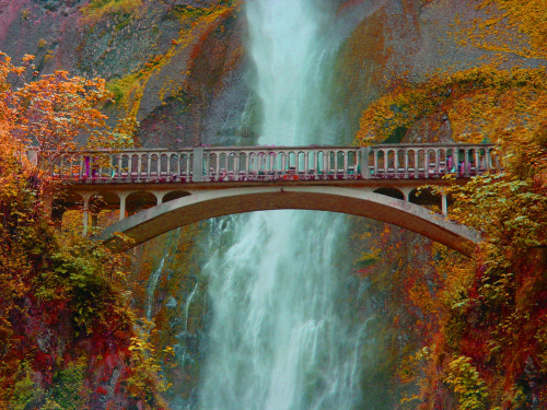 Best Times and Places to See Fall Foliage in Oregon