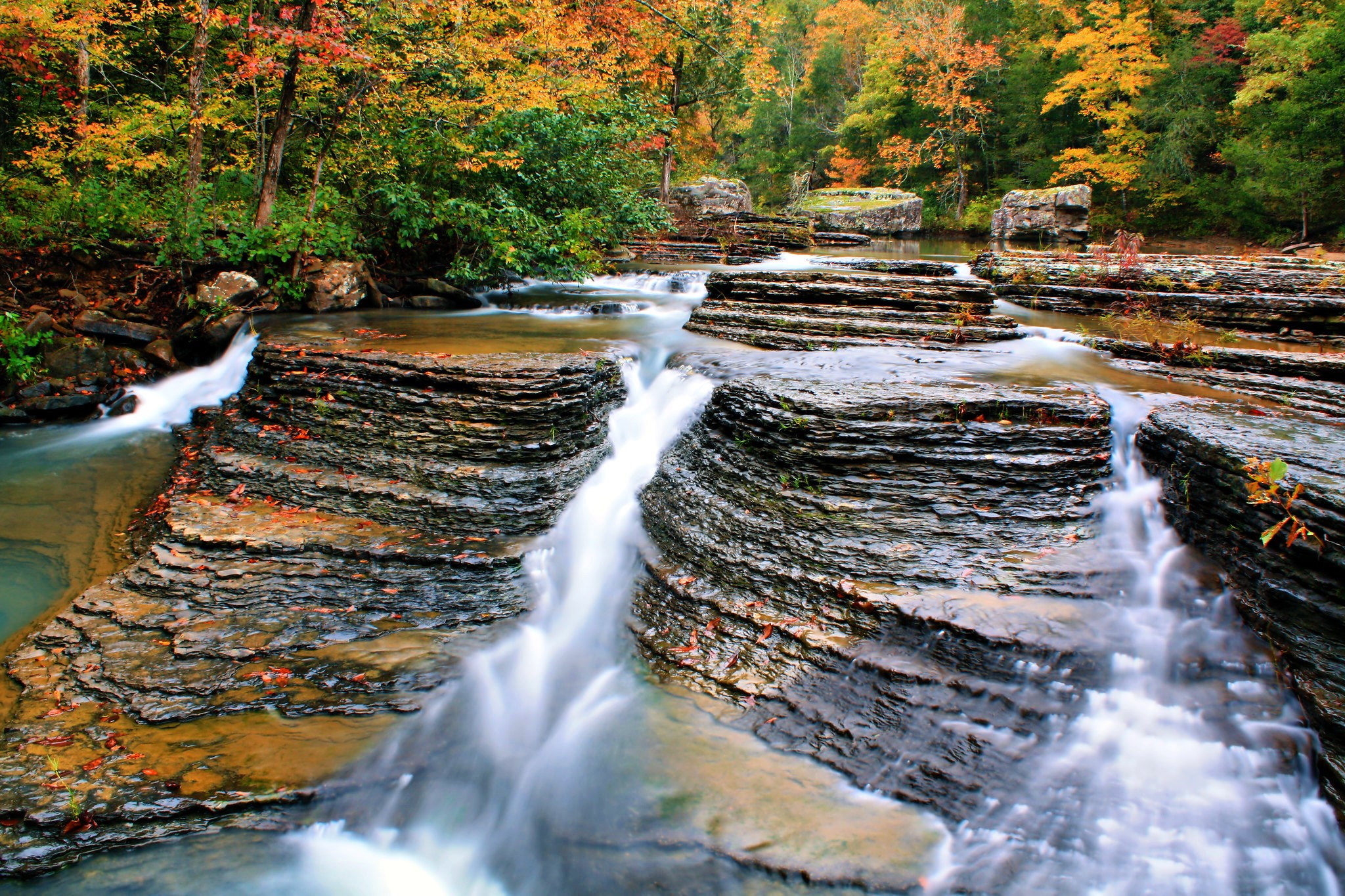 Fall Colors To See In Arkansas Fall Foliage In NWA Smith
