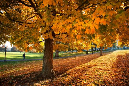 Blacksburg Is The Most Picturesque Autumn Town In Virginia