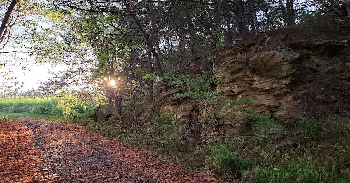 Quarry Park: The Most Enchanting Hiking Trails In Mississippi