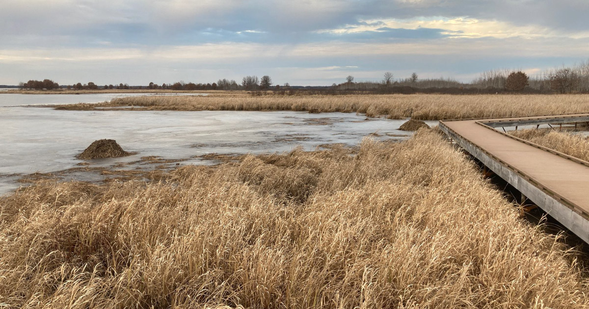 The Necedah National Wildlife Refuge In Wisconsin Is A Big Secluded ...