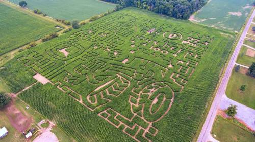 The Biggest Corn Maze In Indiana Is A Must-Accomplish This Year