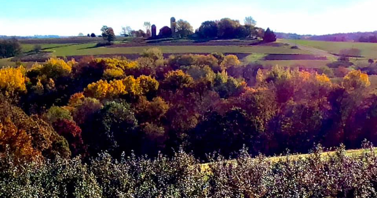 Best Cider Donuts In Wisconsin: Maple Ridge Orchard