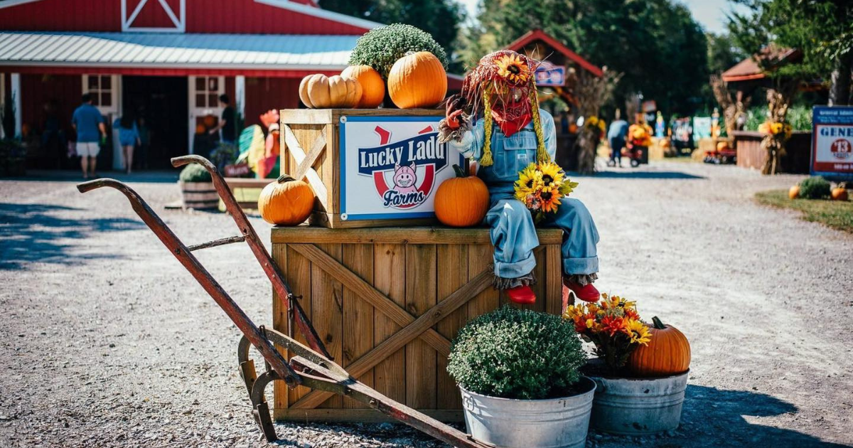 Top 10 Best Fall Festivals In Tennessee For 2024