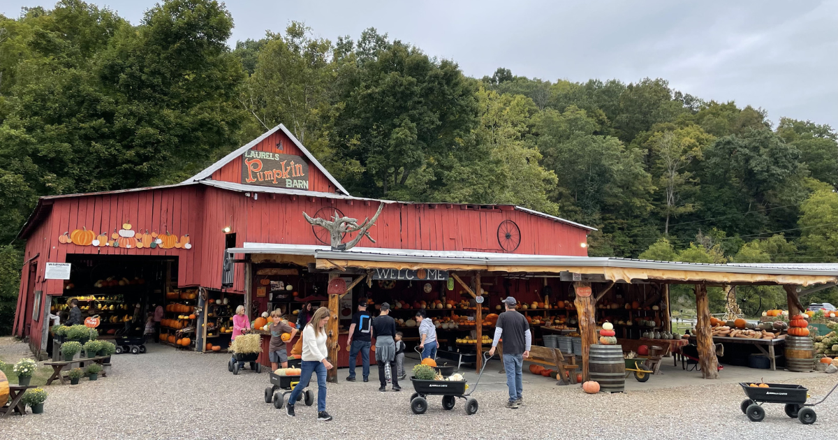 Here Are The 10 Absolute Best Pumpkin Patches In Tennessee To Enjoy In 2024