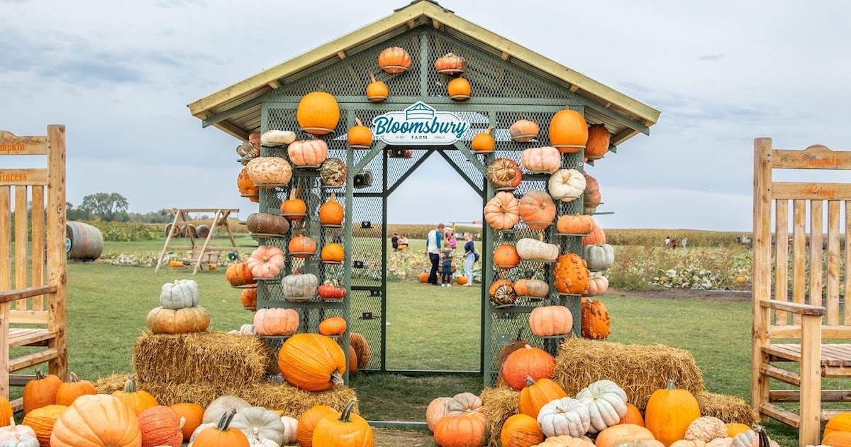 The 6 Best Local Pumpkin Patches: Fall In Iowa 2024