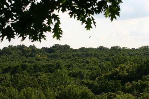 Clegg Memorial Garden: Botanical Garden In Lafayette, Indiana
