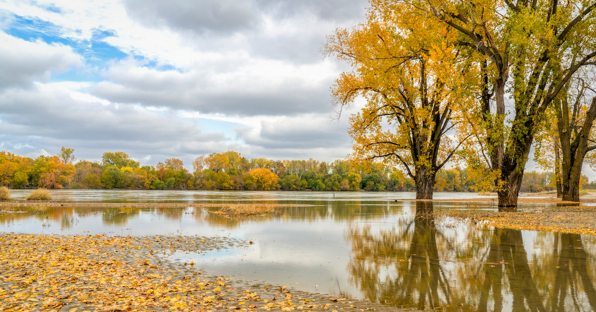 Best Times to View Fall Foliage in Nebraska 2024