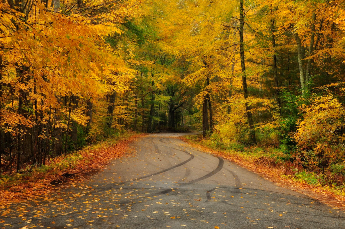 When to See Peak Fall Foliage in Rhode Island