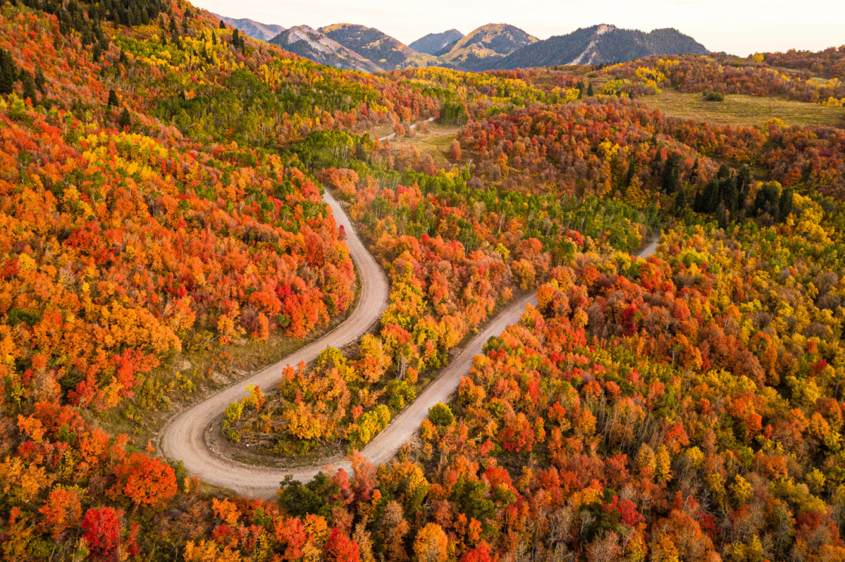 Best Times to See Fall Foliage in Utah 2024