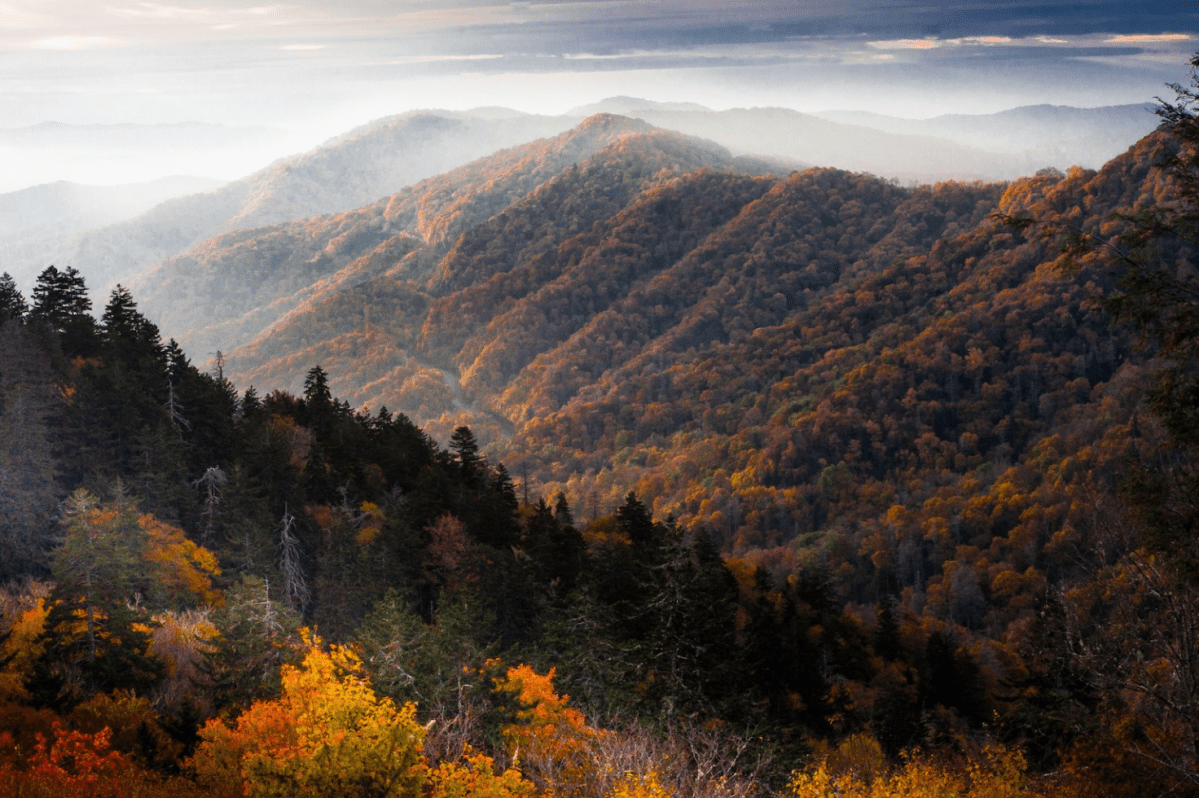 Best Times and Places to See Fall Foliage in Tennessee