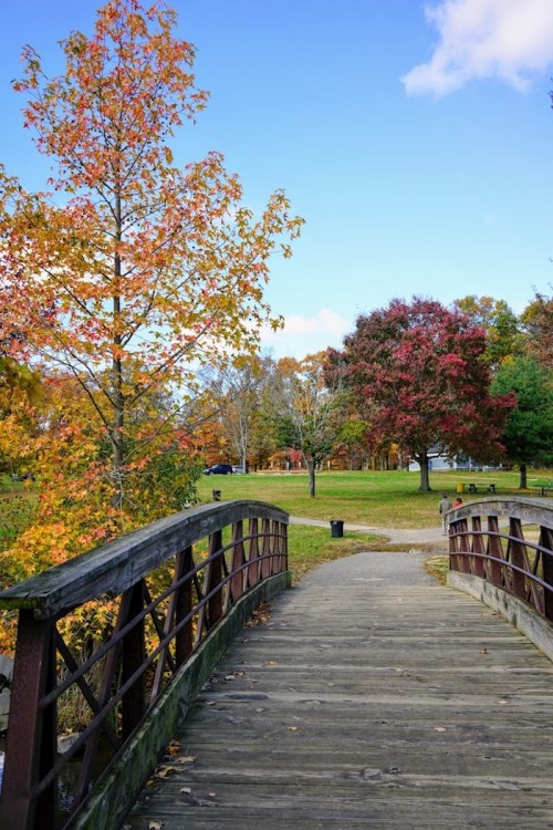 Mercer County Park: Best Fall Foliage Park In NJ