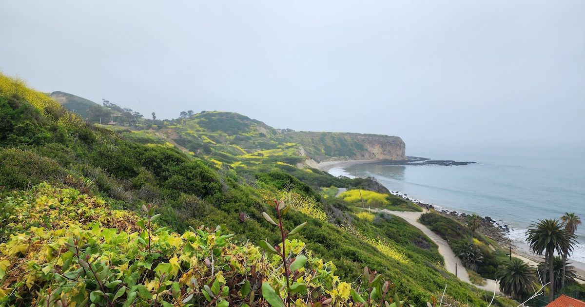 The 2-Mile Beach Bluff Trail Might Just Be The Most Enchanting Hike In ...