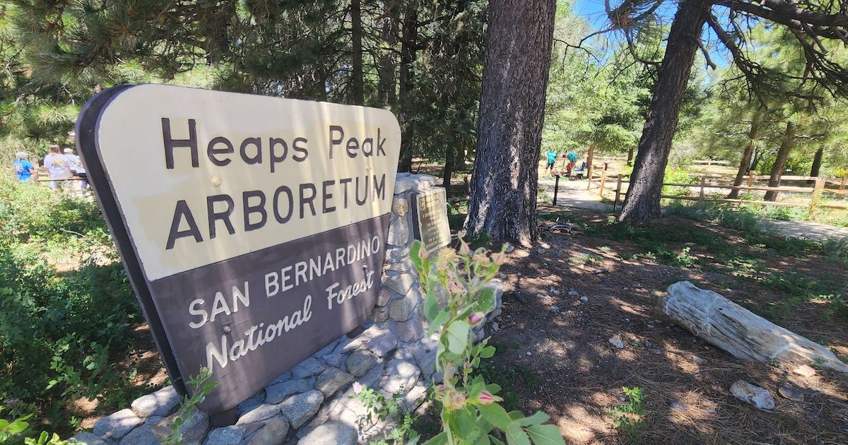 Explore The Little-Known Heaps Peak Arboretum In Skyforest, CA