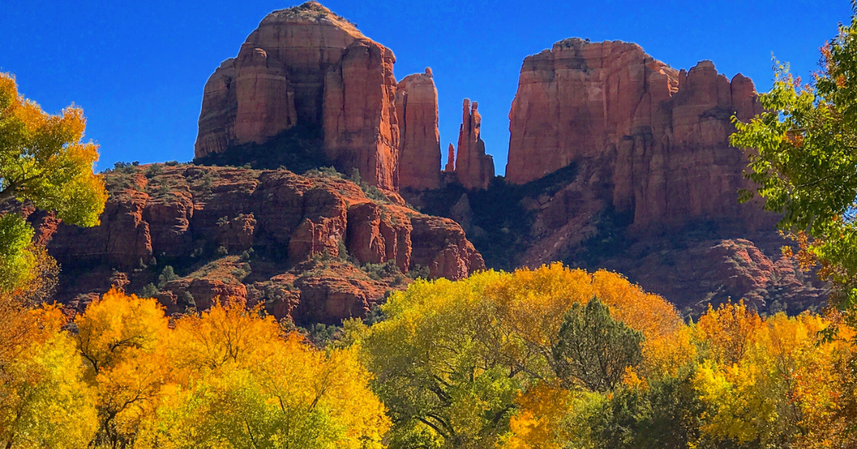 Here Are The Best Times And Places To View Arizona’s Fall Foliage In 2024