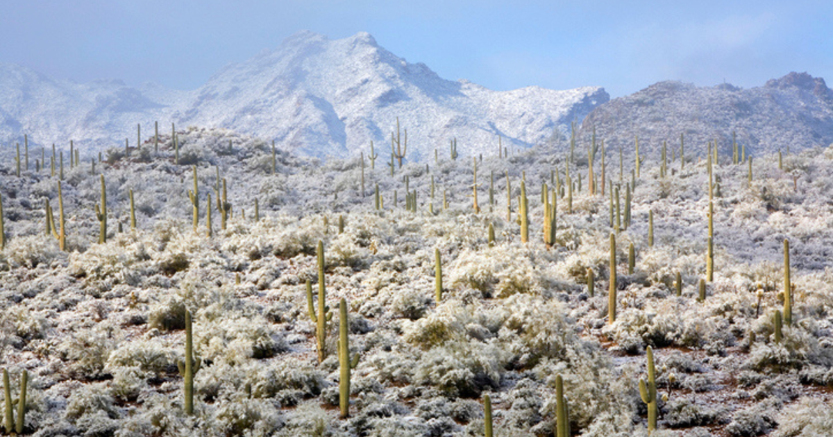 You Might Be Surprised To Hear The Predictions About Arizona’s Cold And ...