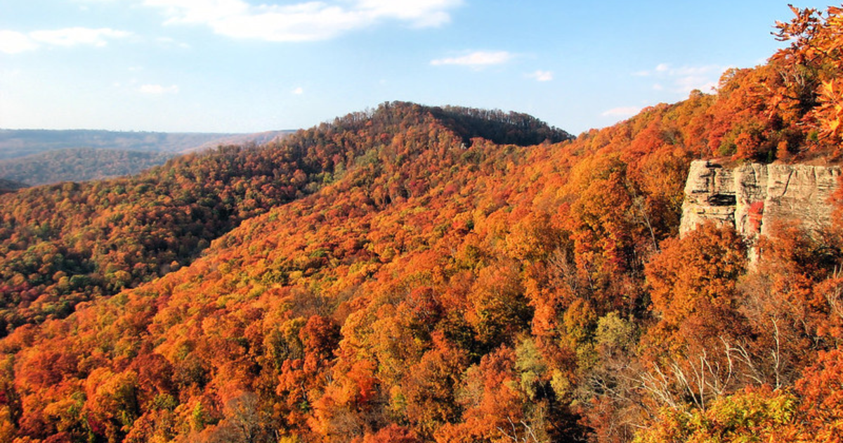 Best Places to See Fall Foliage in Arkansas