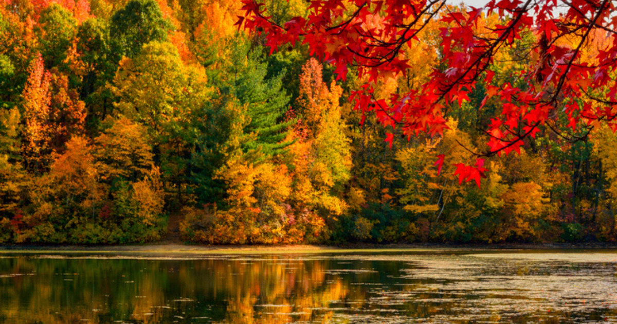 Best Times and Places to See Fall Foliage in New Jersey