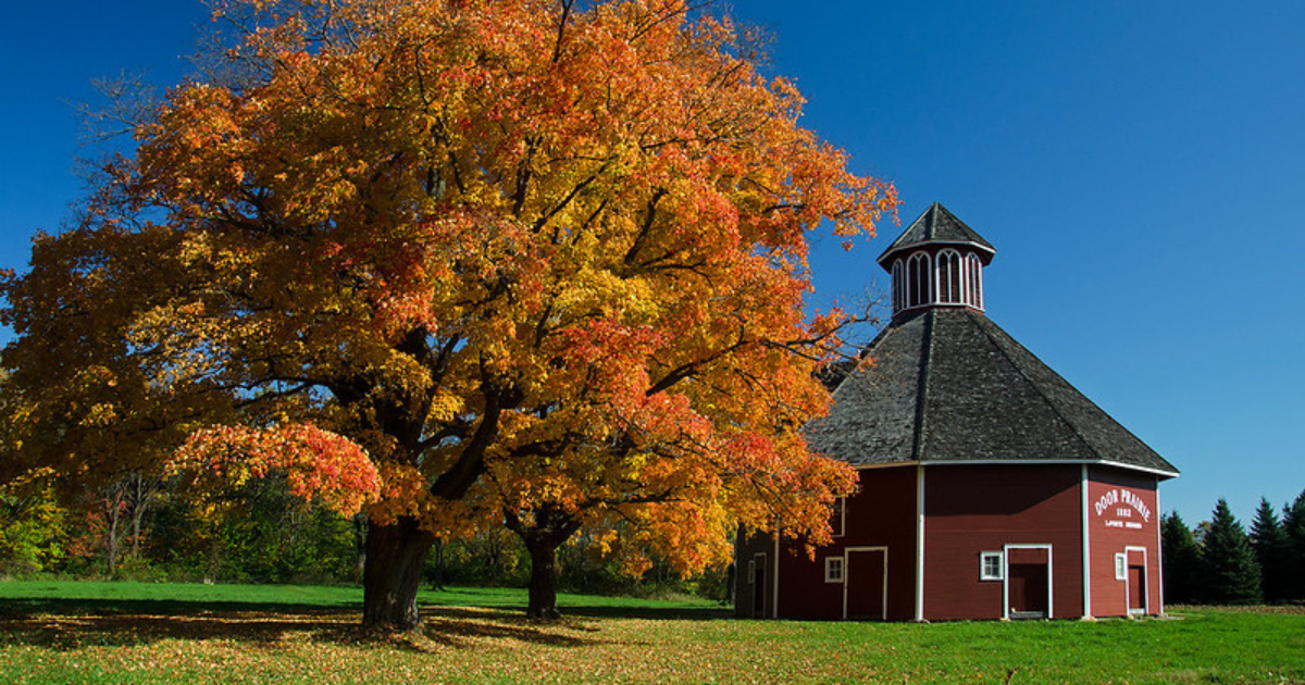Best Times and Places for Fall Foliage in Indiana 2024