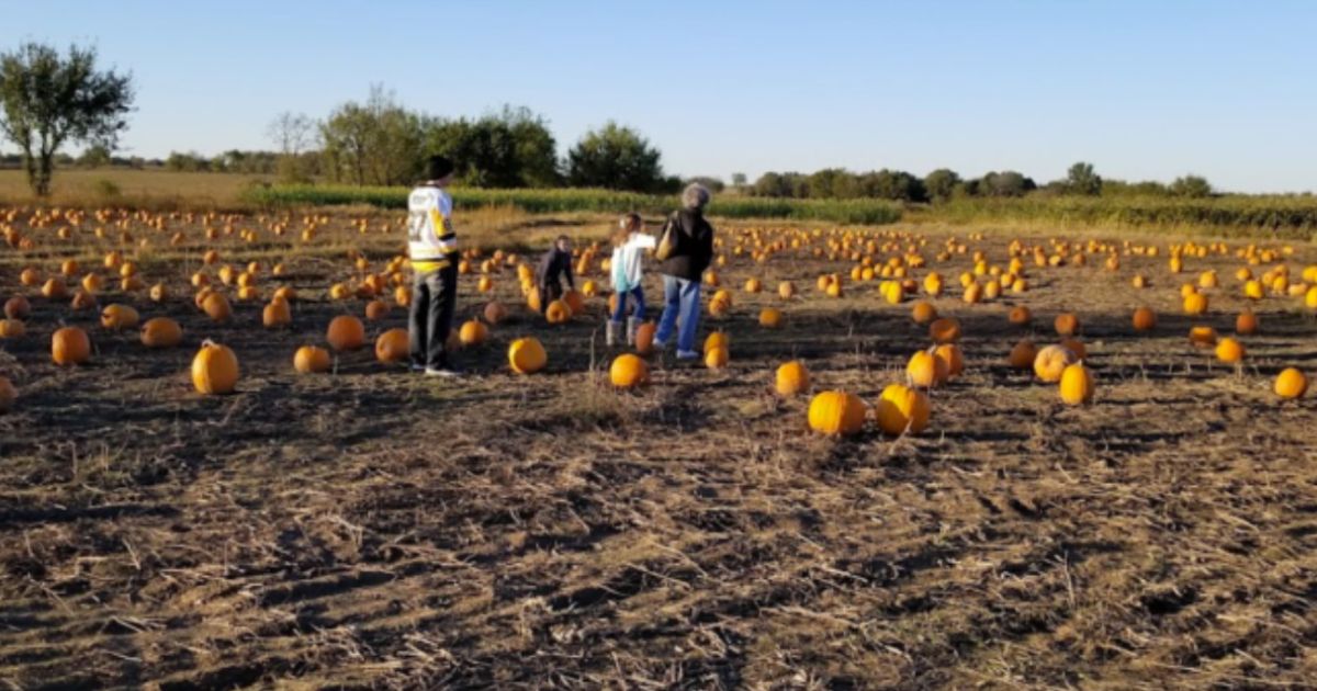 Orr Family Farm And 6 More Pumpkin Patches In Oklahoma