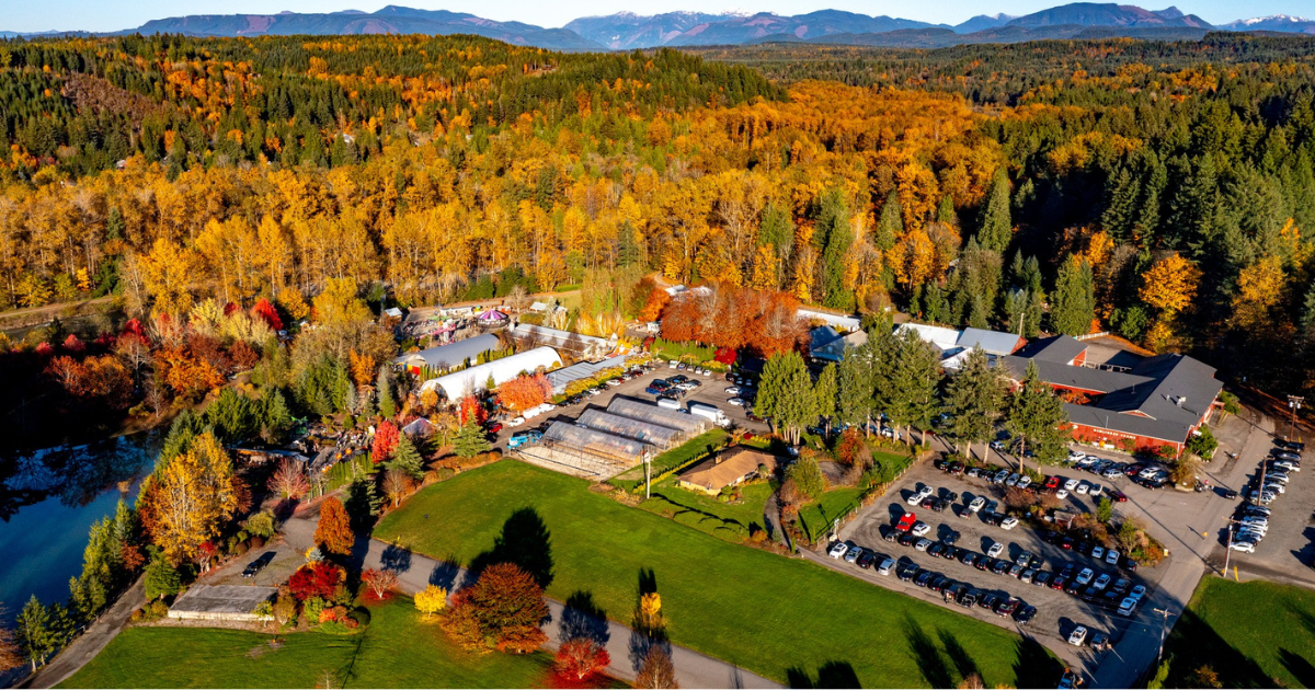 The 7 Best Fall Festivals In Washington For 2024 Will Put You In The ...