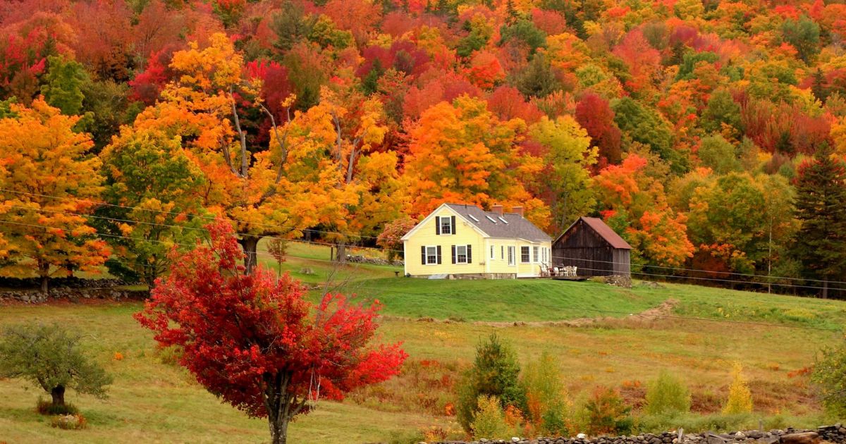 Best Times to See Fall Foliage in Vermont 2024