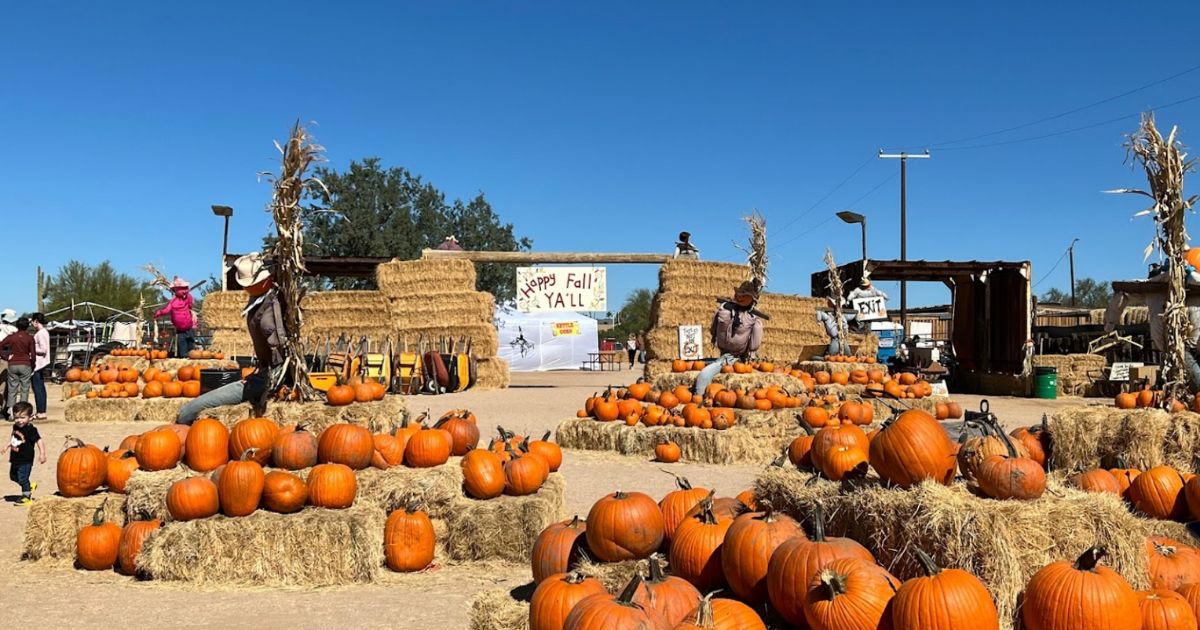 Attend The 7 Best Fall Festivals In Arizona 2024