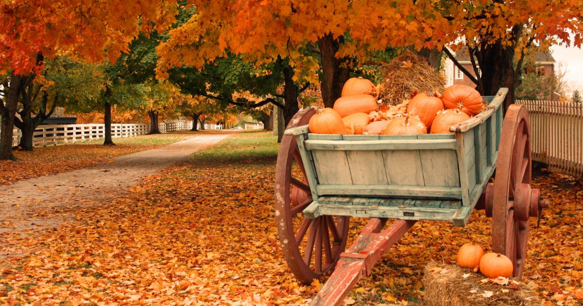 You'll Love Our List Of The Best Fall Festivals In Kentucky