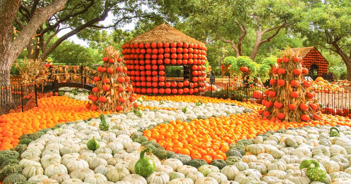 7 Of The Best Fall Festivals In Texas To Attend This Year