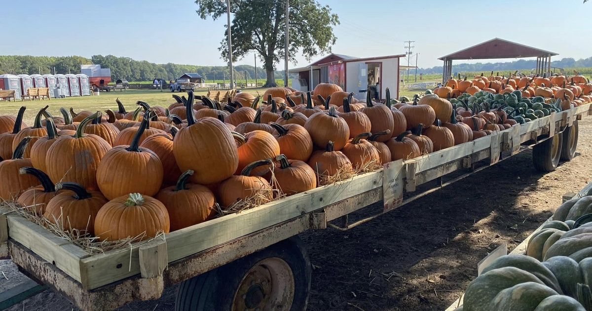 The 7 Best Fall Festivals In Arkansas For 2024 Will Put You In The ...
