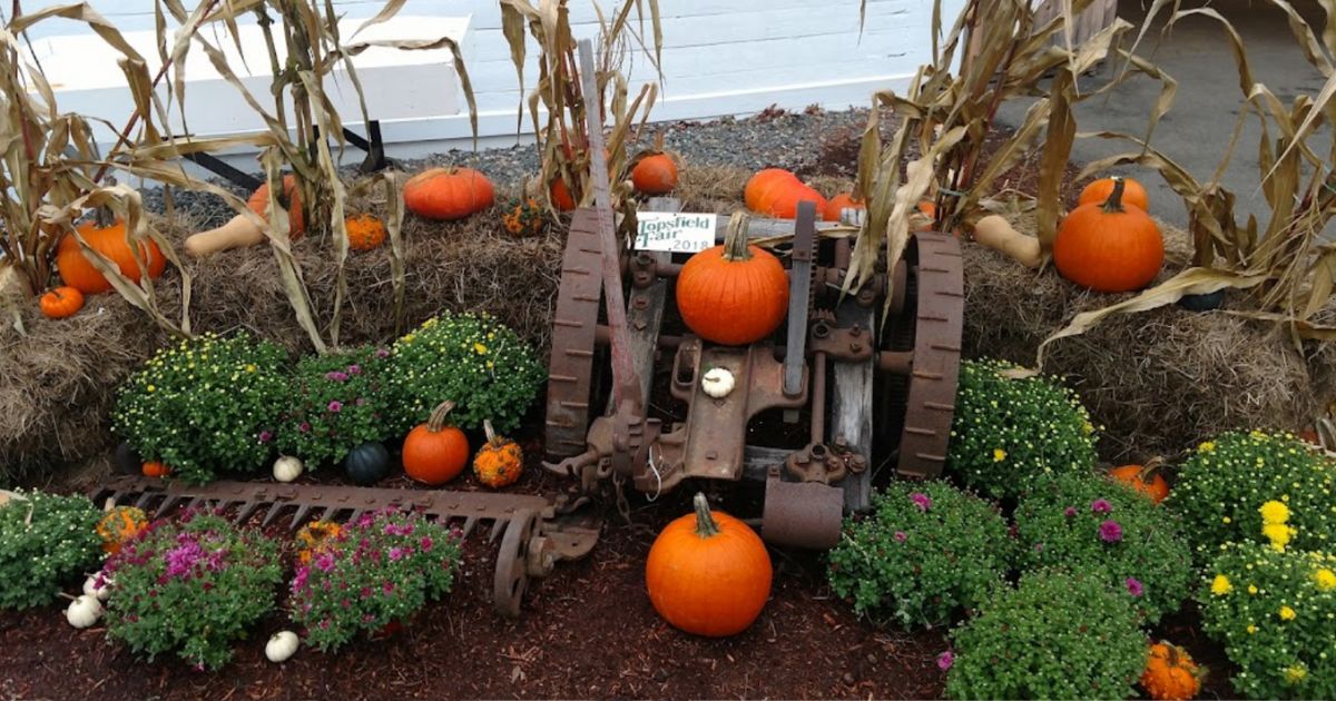 The Seven Best Fall Festivals In Massachusetts In 2024